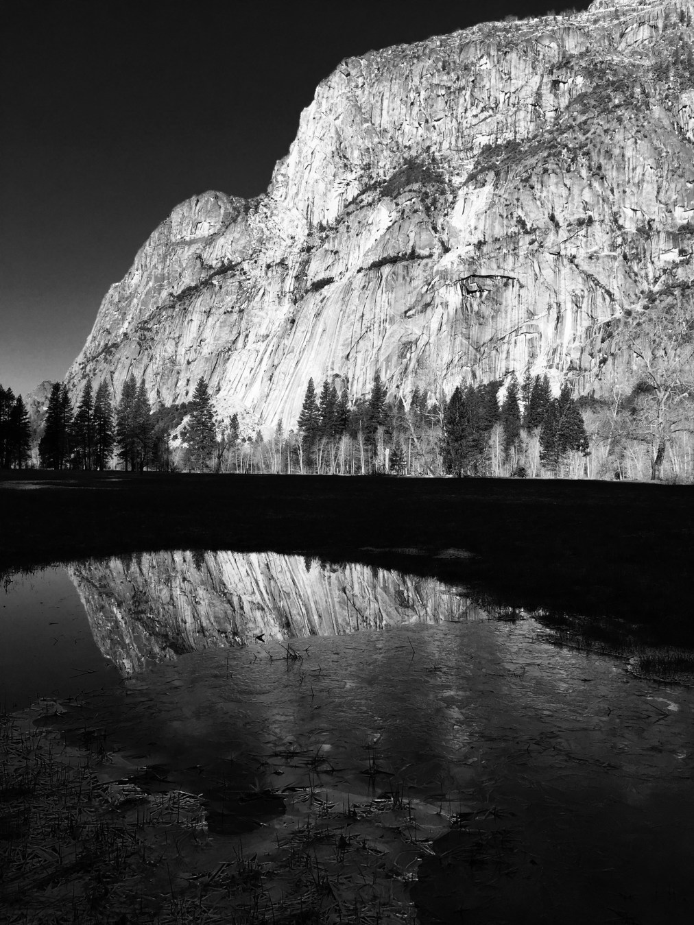 BHR Issue 9 Winter 2018 | Blue Heron Review